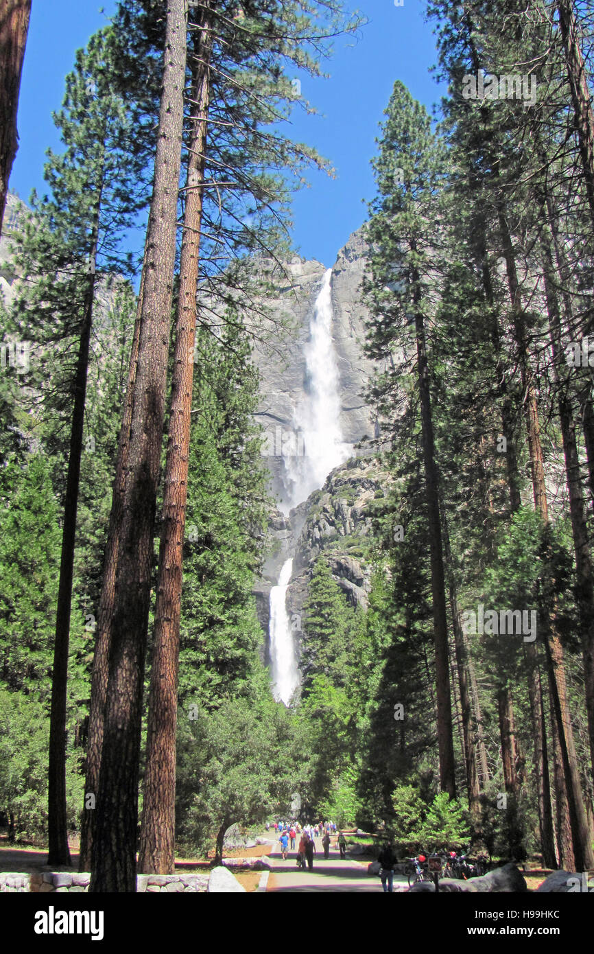 Yosemit falls hi-res stock photography and images - Alamy