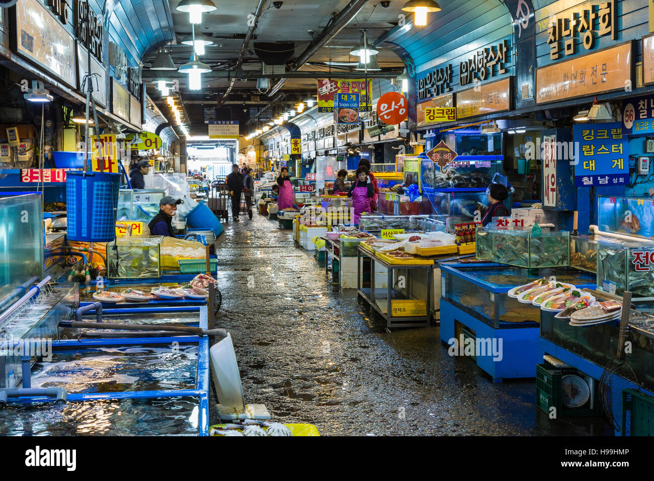 SEOUL - OCTOBER 23, 2016: Vendors selling fish at Garak Market in Seoul ...