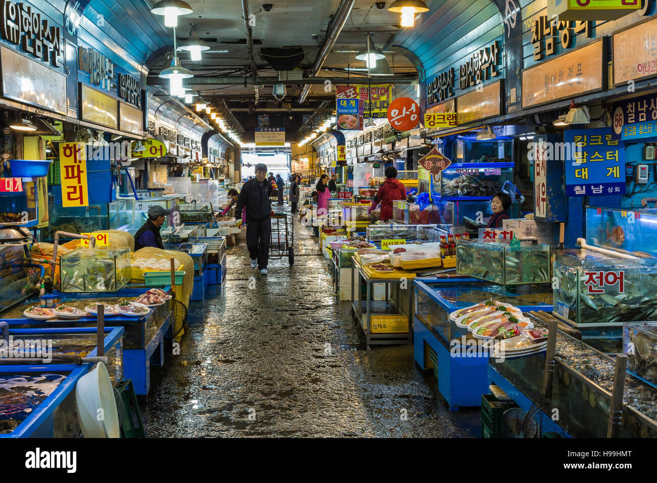 SEOUL - OCTOBER 23, 2016: Vendors selling fish at Garak Market in Seoul ...