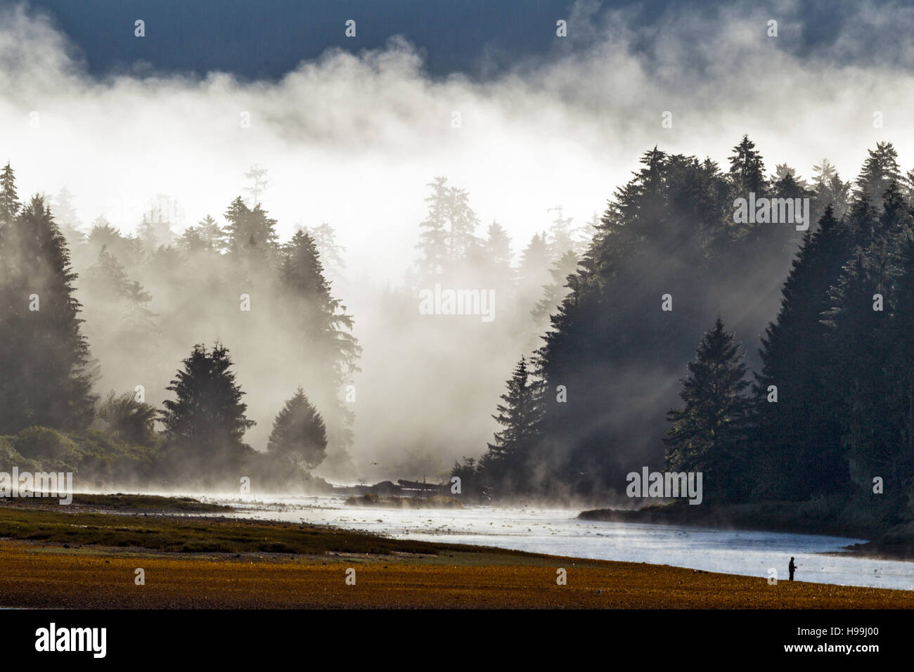 Man salmon fishing as early morning mist rises from the river and ...