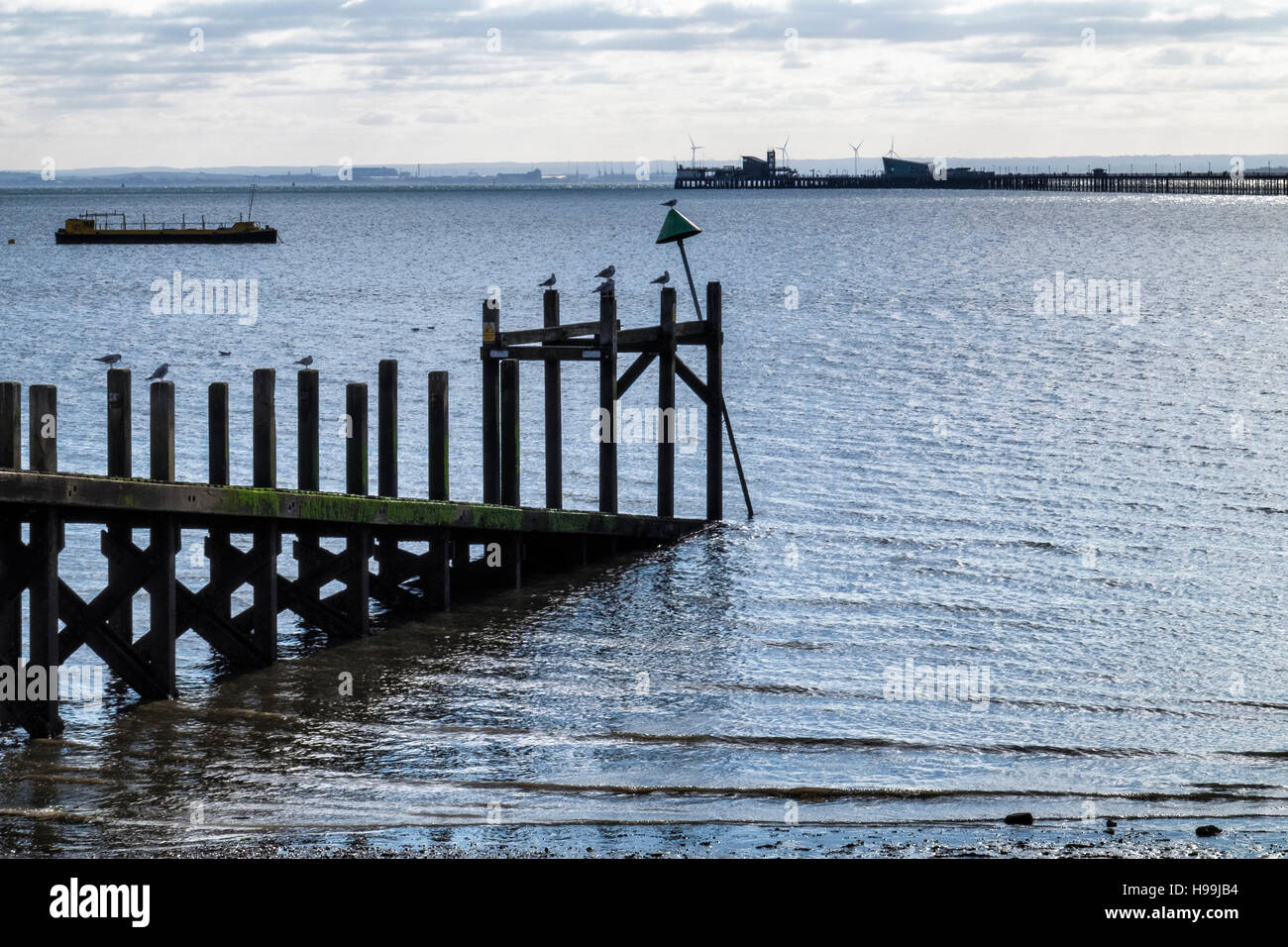 The longest pleasure pier in the world hi-res stock photography and ...