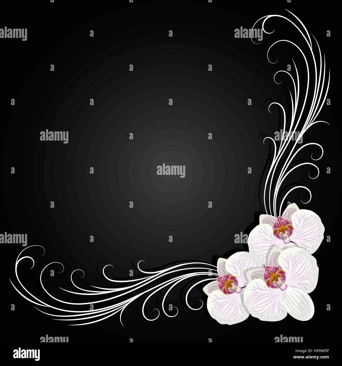 Beautiful corner frame delicate Stock Vector Images - Alamy