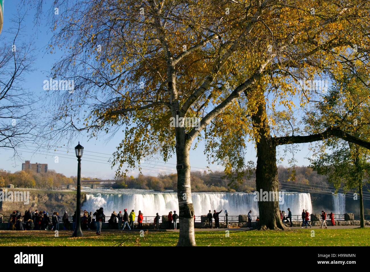 Healthy food campaign launch in Aberdeen with Richard Lochead Scottish ...