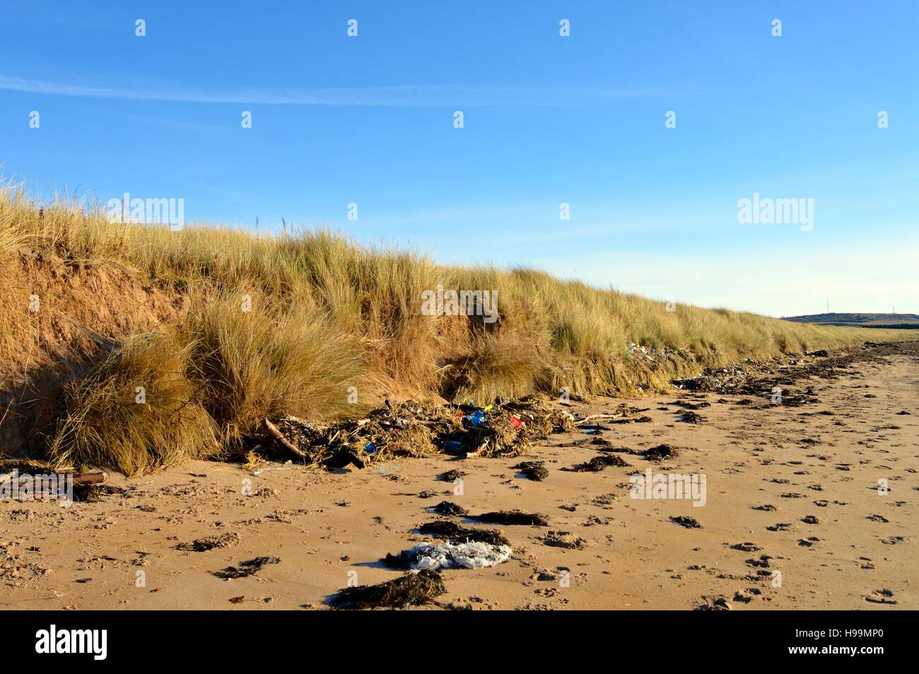 Healthy food campaign launch in Aberdeen with Richard Lochead Scottish ...