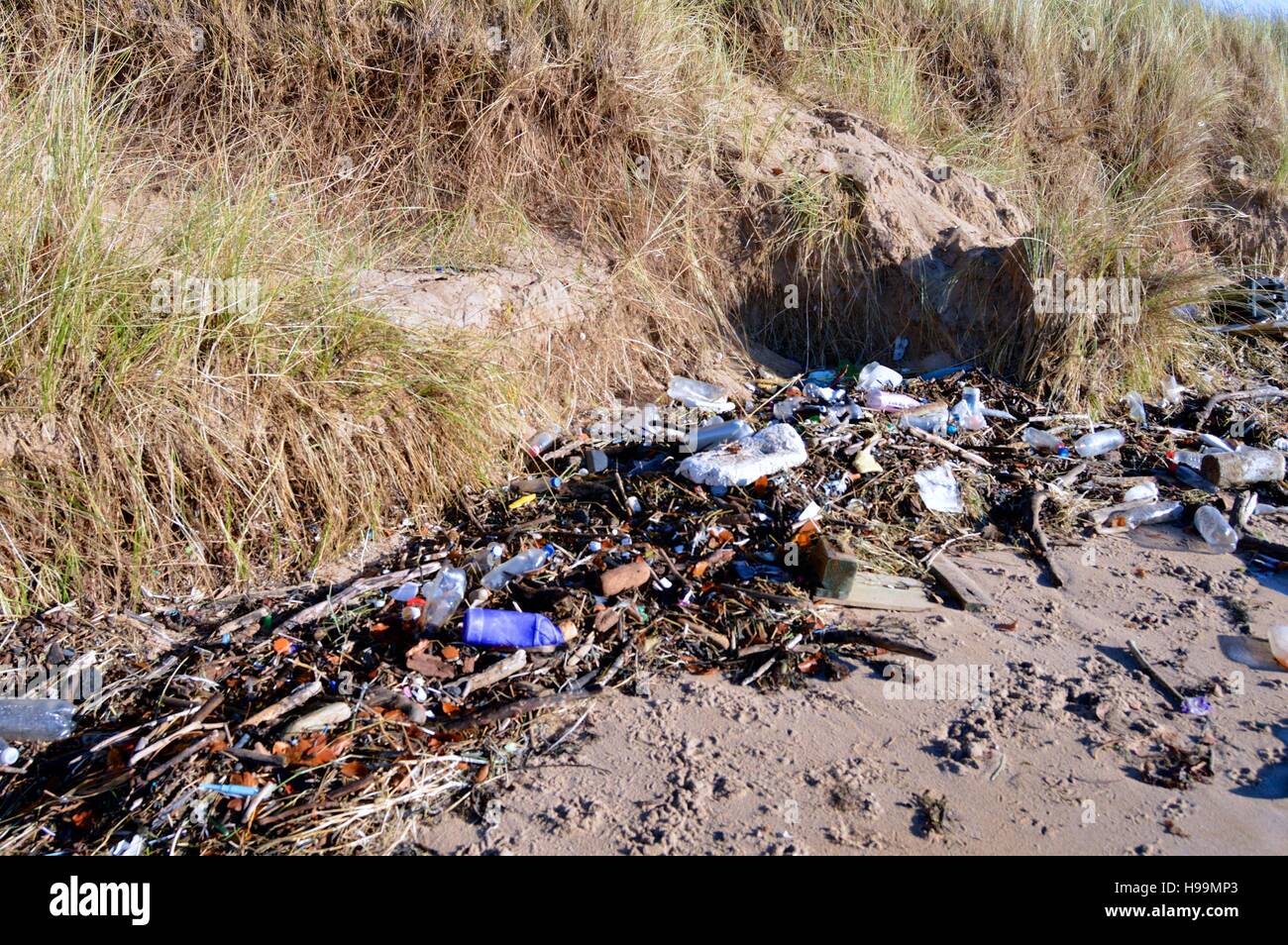 Healthy food campaign launch in Aberdeen with Richard Lochead Scottish ...