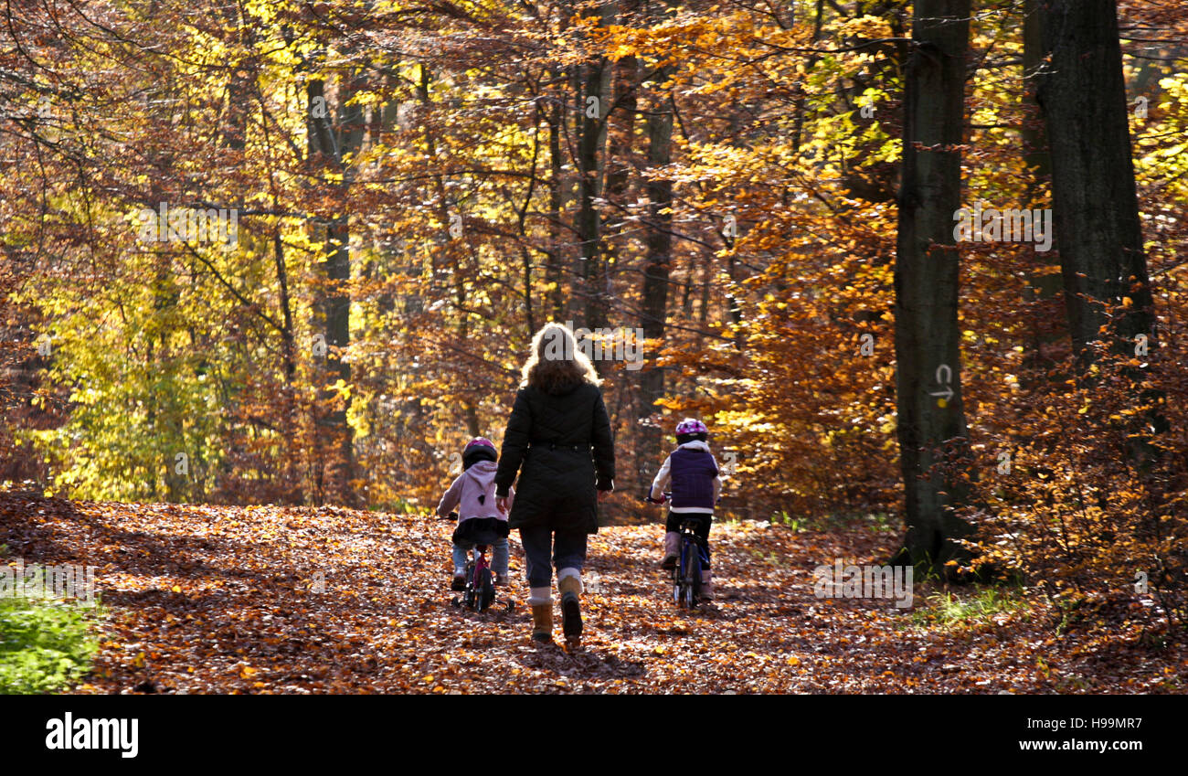 Autumn forest in the countryside in Denmark: people enjoying the nature ...