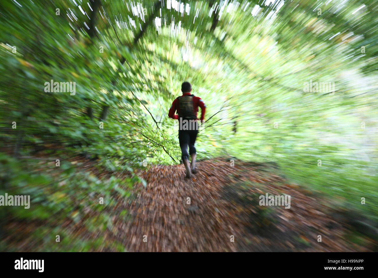 Man running in the forest: no manipulation: zooming on the man with ...