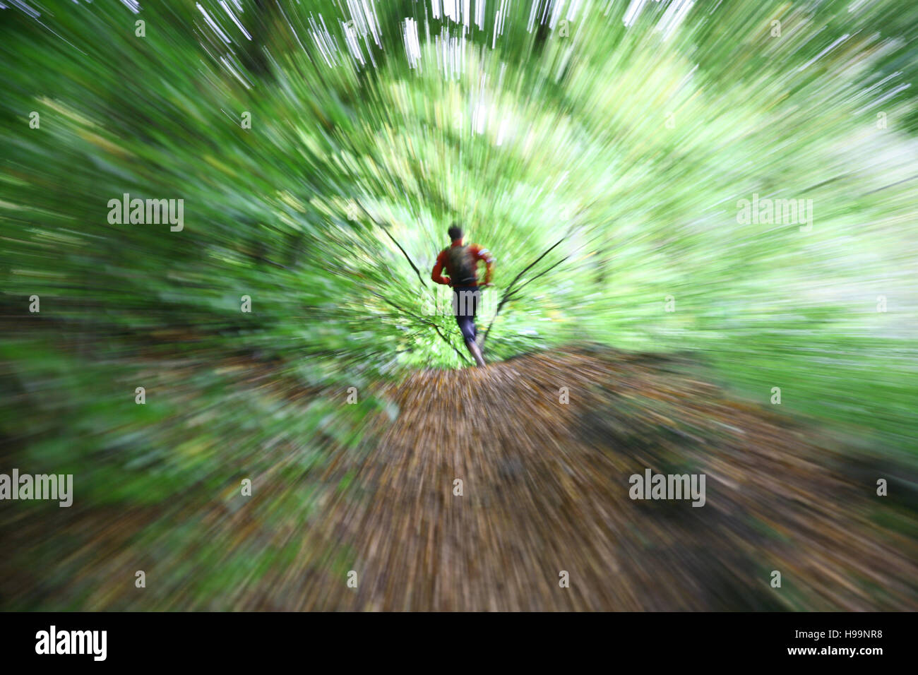 Man running in the forest: no manipulation: zooming on the man with ...