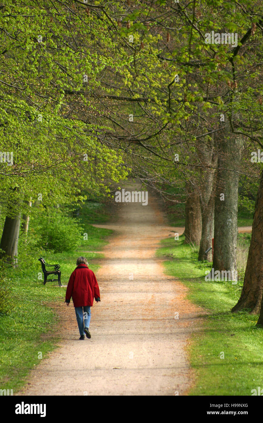 Woman walking alone outdoor between trees aof an alley in a park in ...
