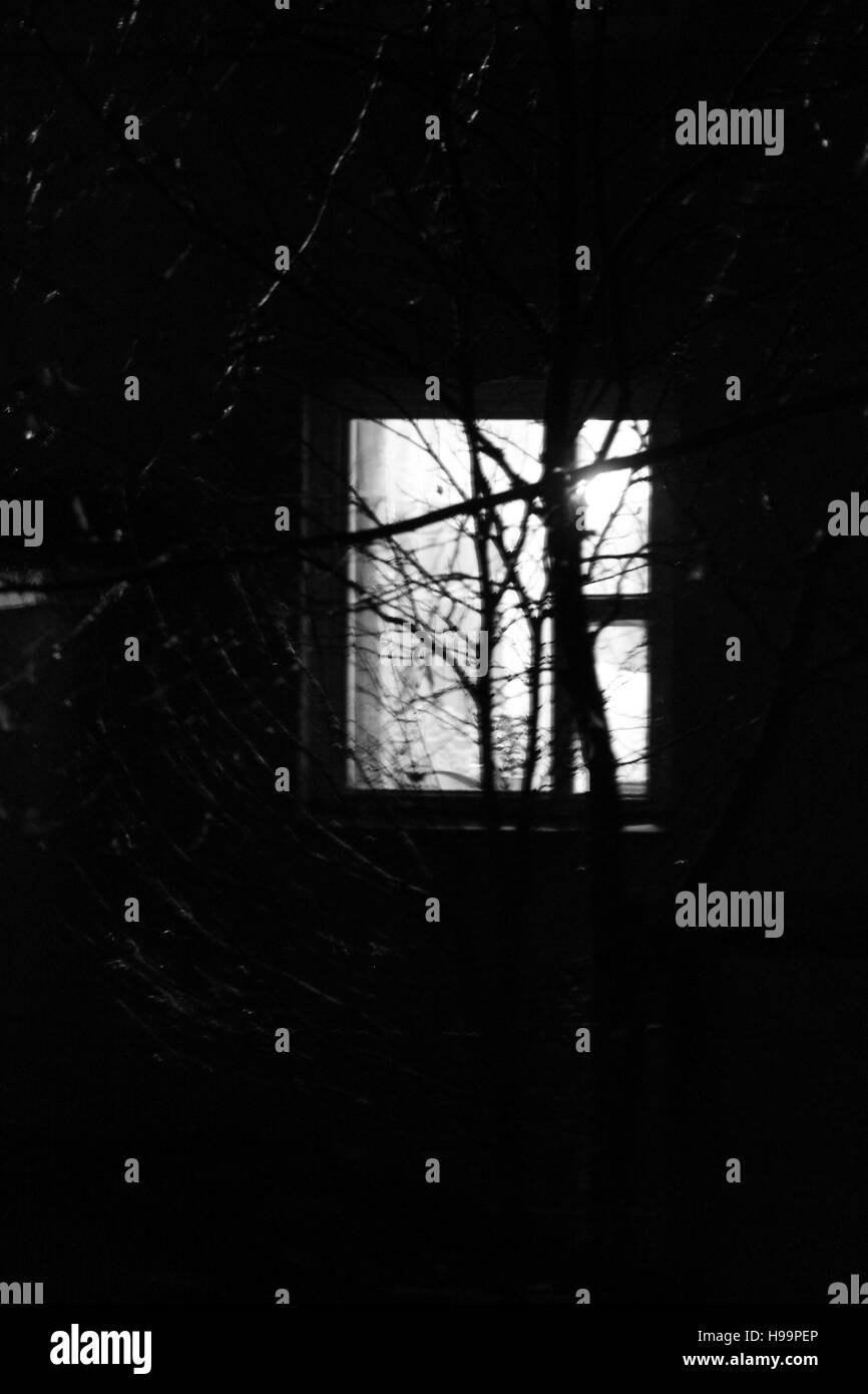 Street light night garden Black and White Stock Photos & Images - Alamy