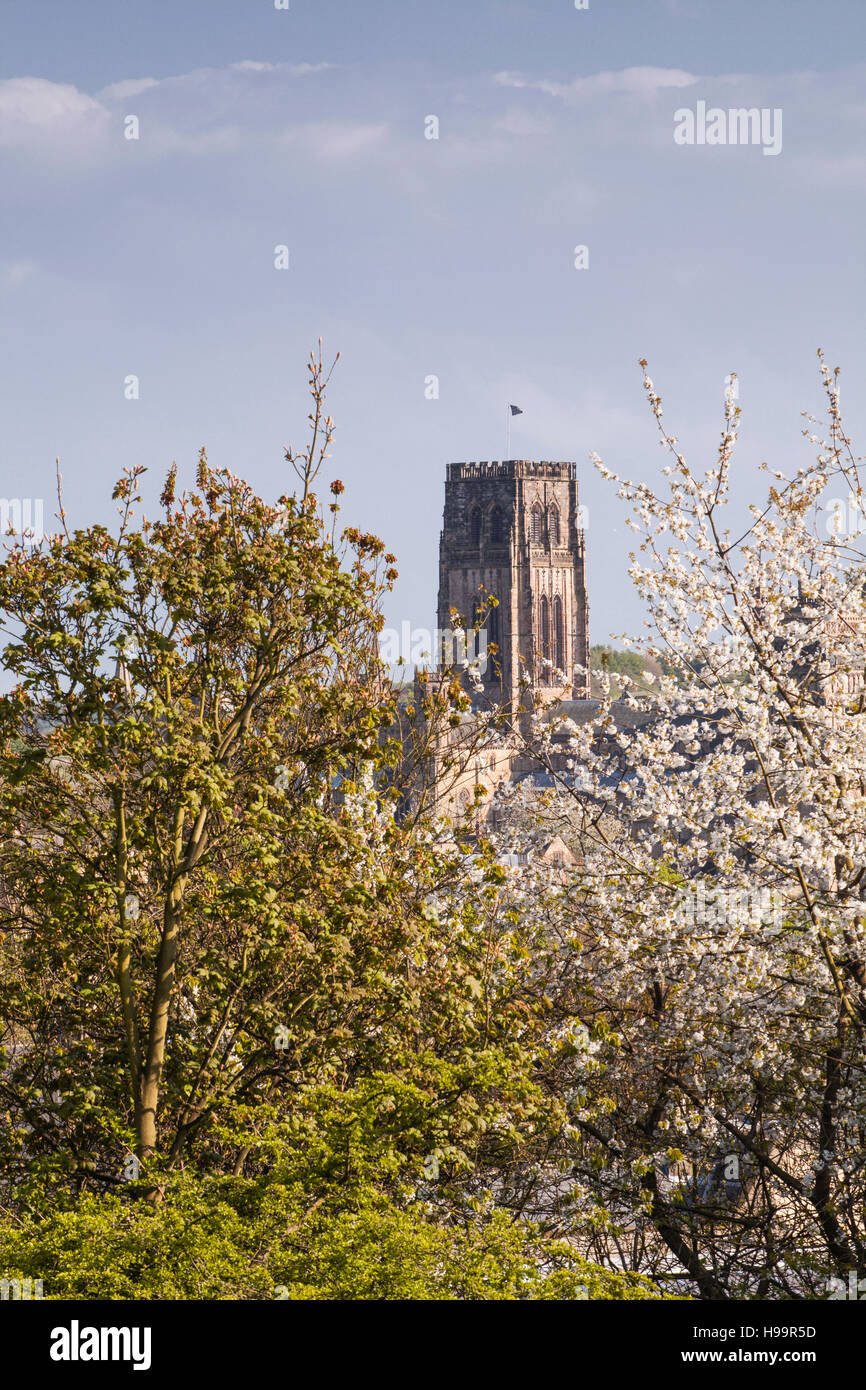Norman times england hi-res stock photography and images - Alamy