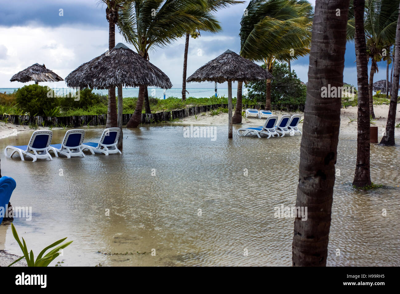 Tropical Storm Damage Stock Photo - Alamy