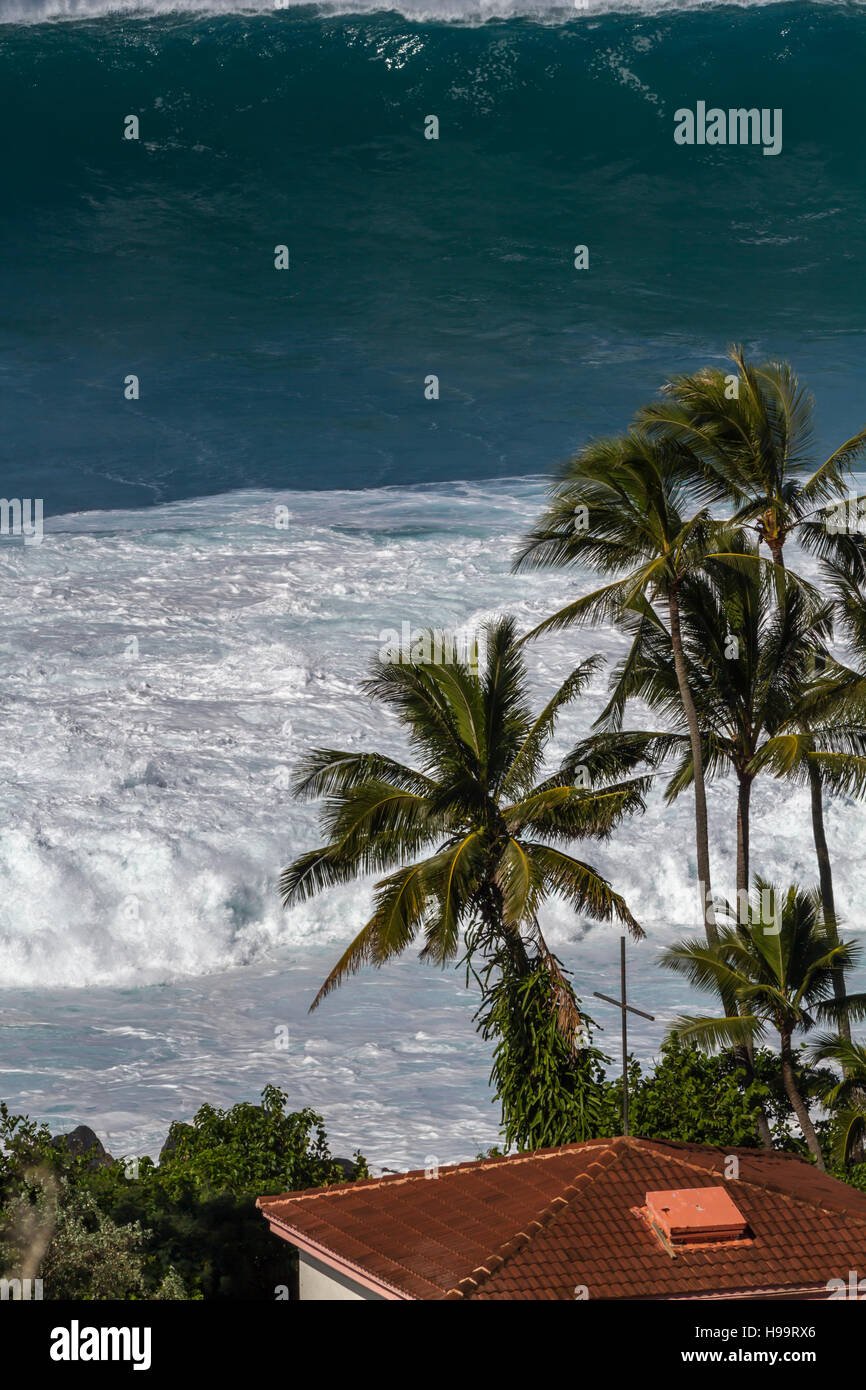 Big Ocean waves, palm trees near Waimea bay on the north shore of Oahu ...