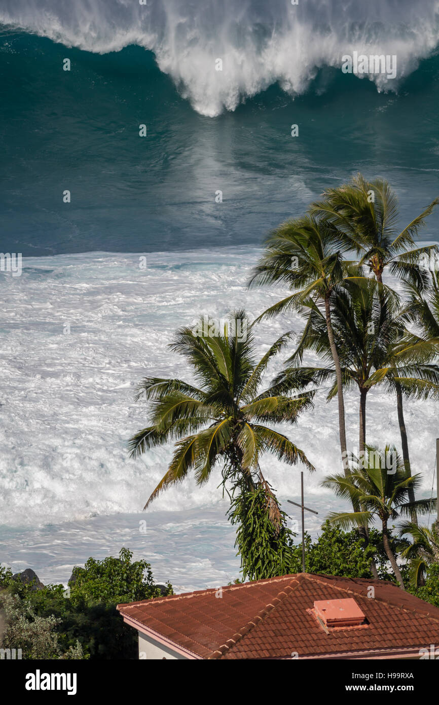 Big Ocean waves, palm trees near Waimea bay on the north shore of Oahu ...