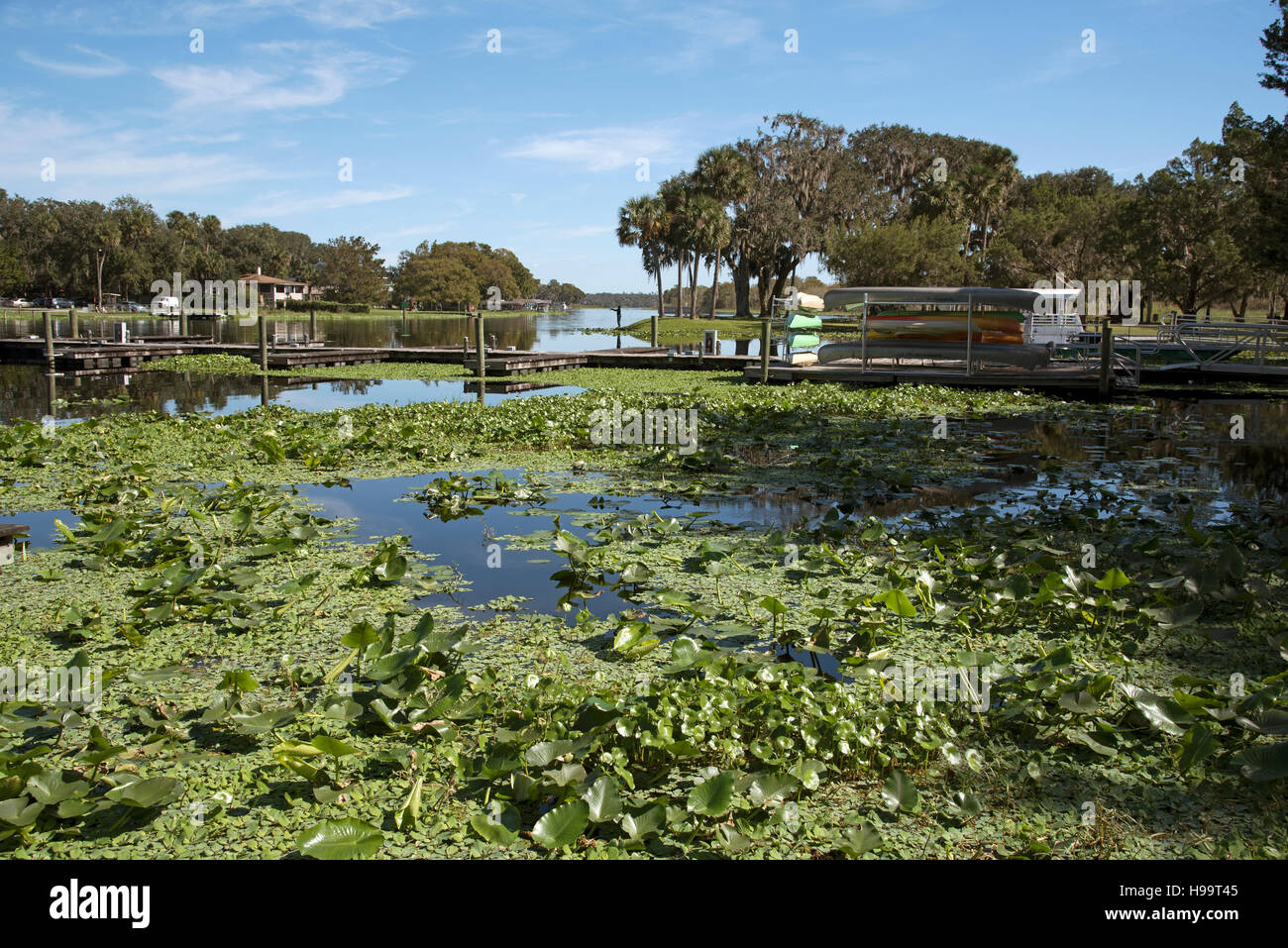 Hontoon Island State Park Florida USA - A view from the park along St ...