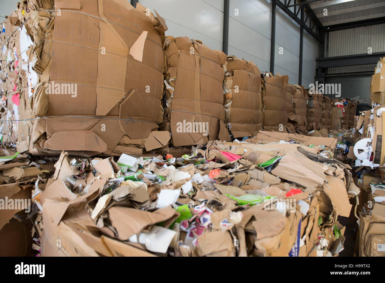 Piles of used cardboard ready for recycling in a factory Stock Photo ...