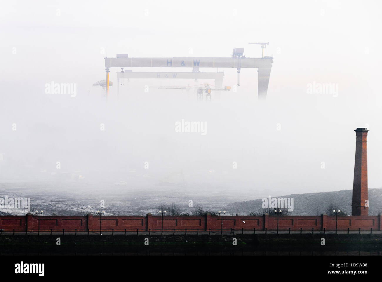 Harland and Wolff yellow cranes peek out from above fog in Belfast ...