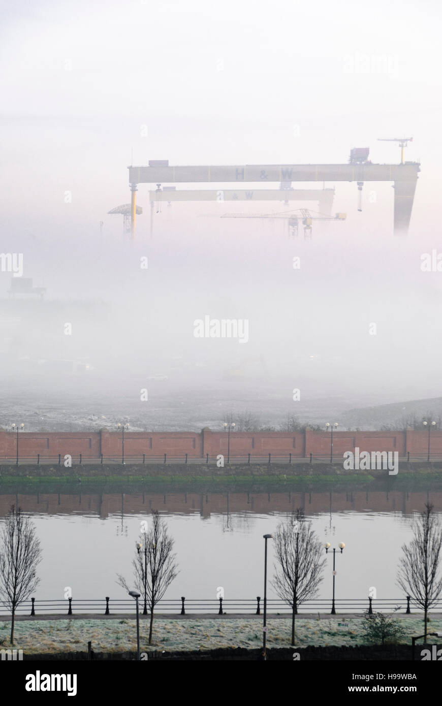 Harland and Wolff yellow cranes peek out from above fog in Belfast ...