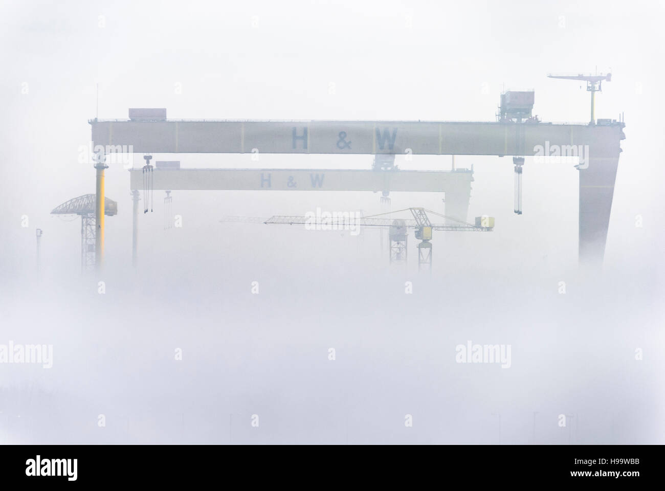 Harland and Wolff yellow cranes peek out from above fog in Belfast ...