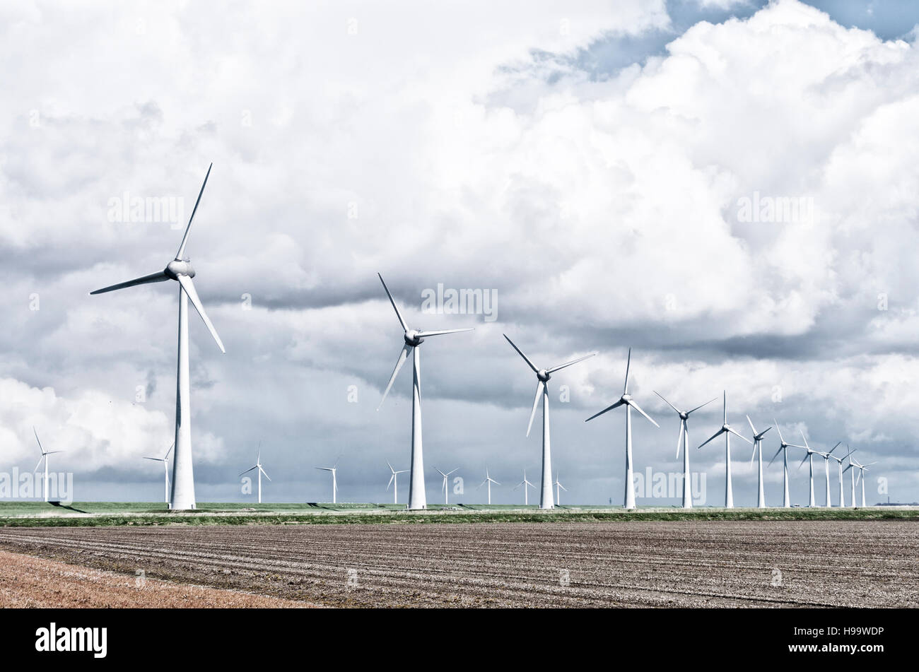 row wind turbines in an agricultural dutch landscape harsh filtered ...