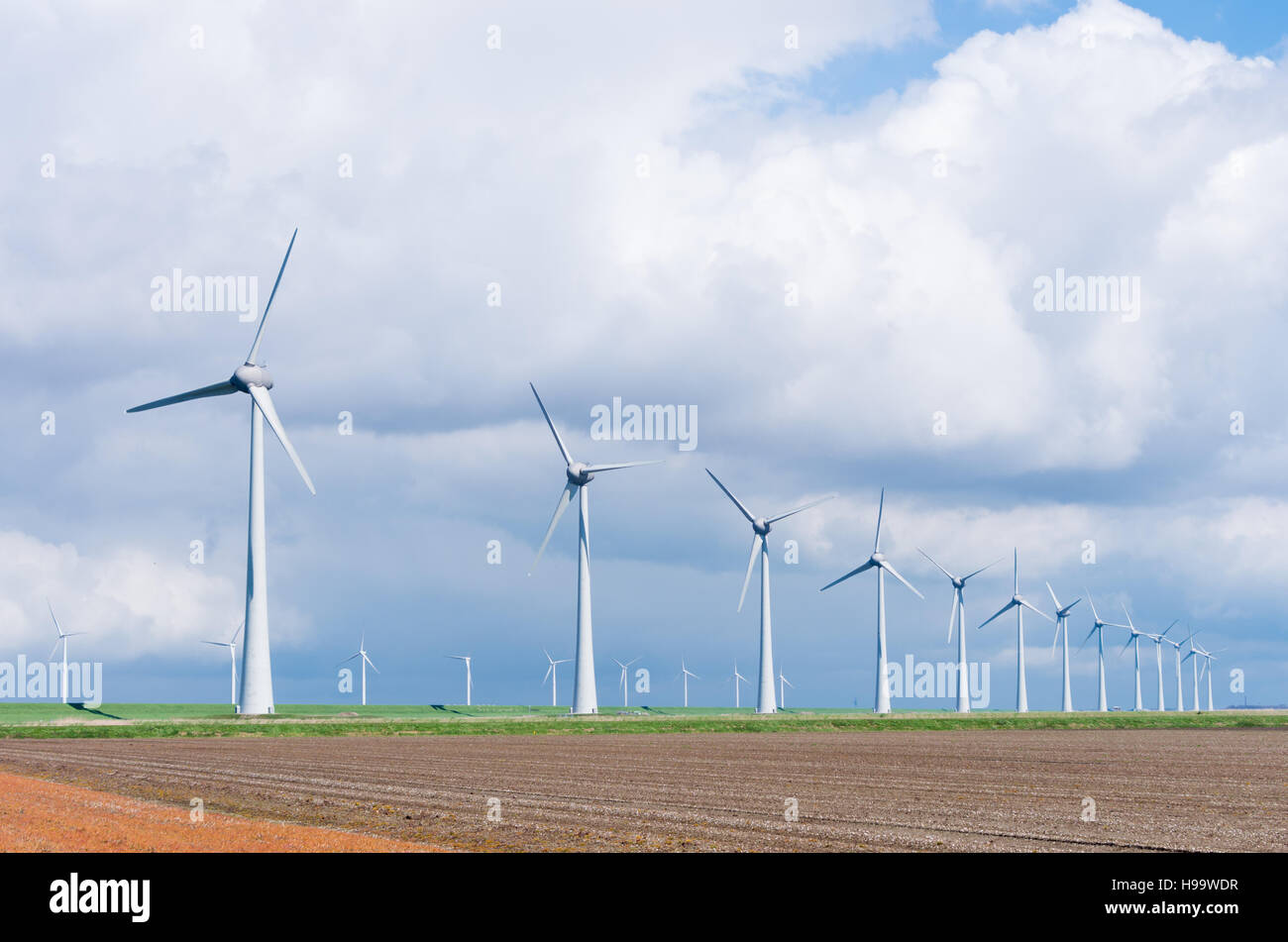 row wind turbines in an agricultural dutch landscape Stock Photo - Alamy