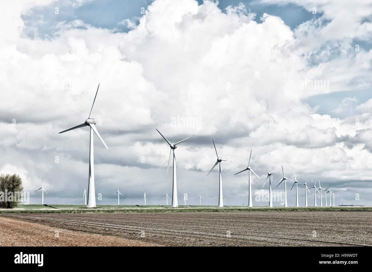 row wind turbines in an agricultural dutch landscape harsh filtered ...
