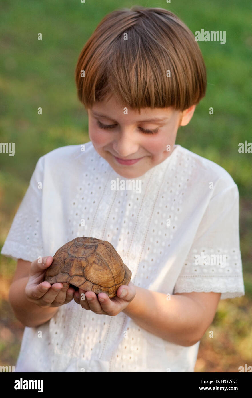 Turtle shell hi-res stock photography and images - Alamy