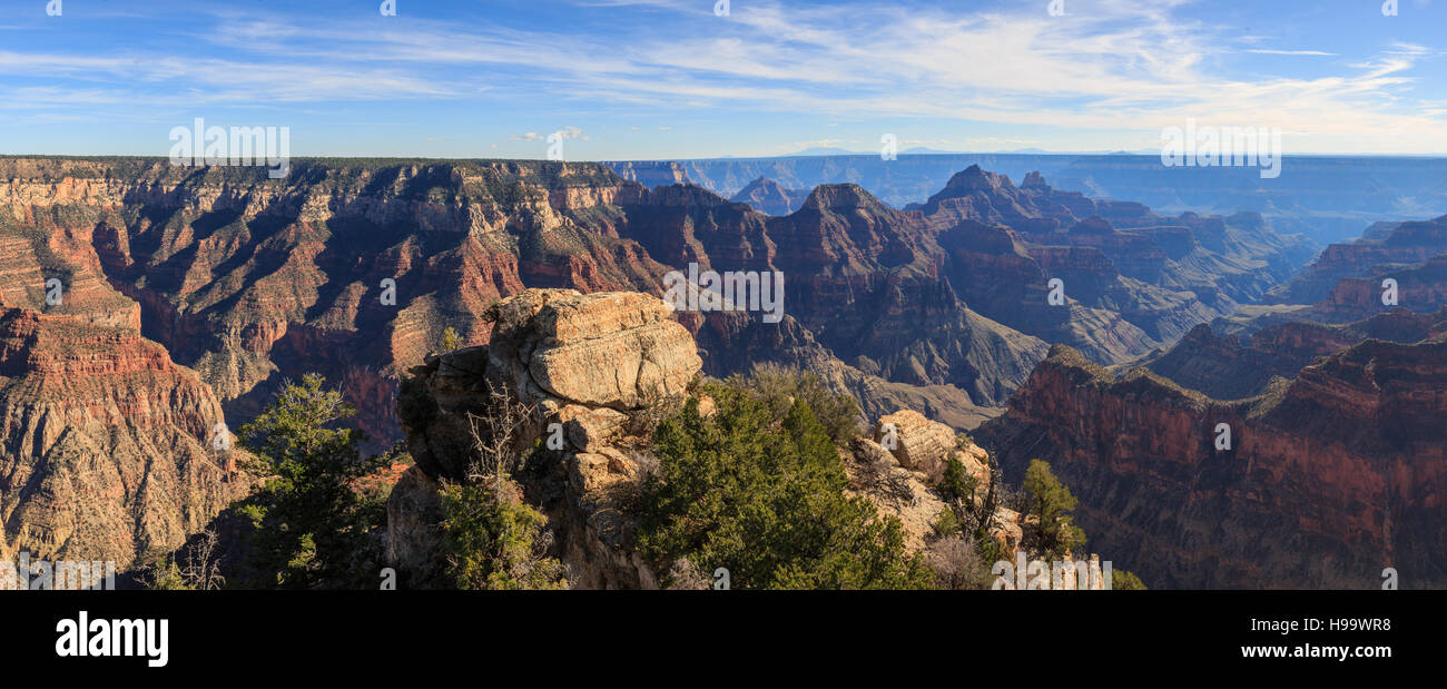 Beautiful Landscape of Grand Canyon from North Rim, Arizona, United ...