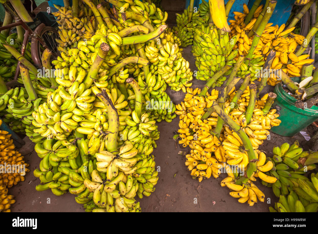 Varieties of banana on sale in a street market, Madurai, India Stock ...