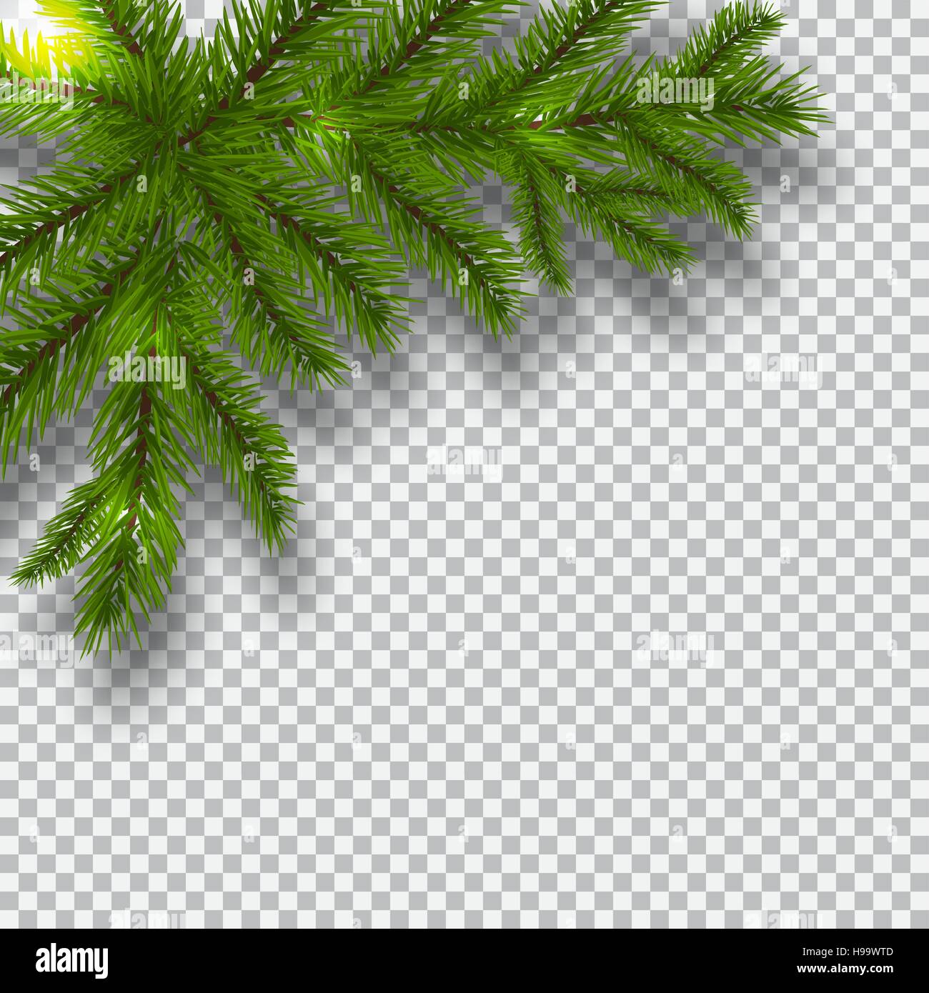 Green branches of a Christmas tree on a checker background. Corner with ...