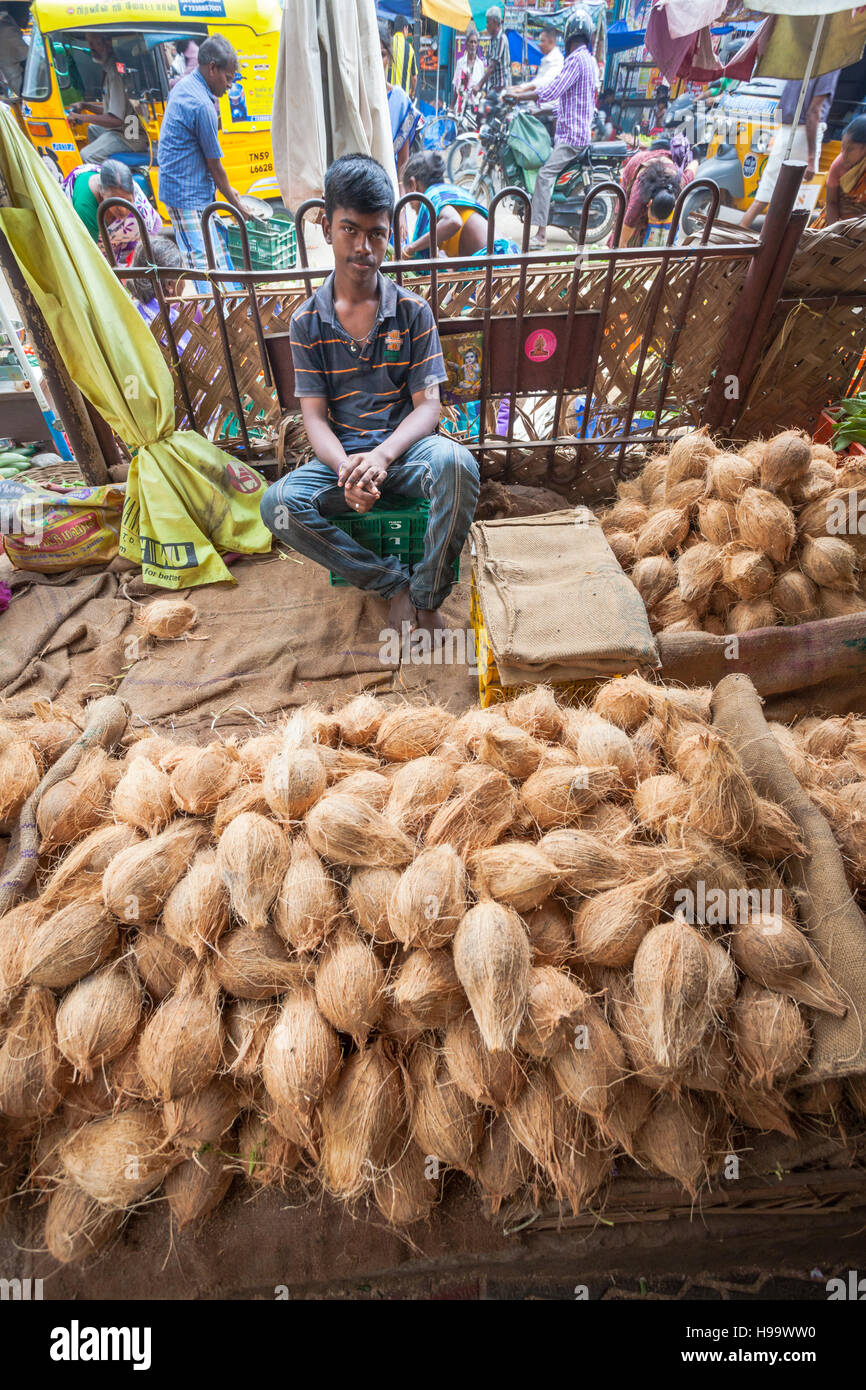 Youth at his market stall selling coconuts, Madurai, India Stock Photo ...