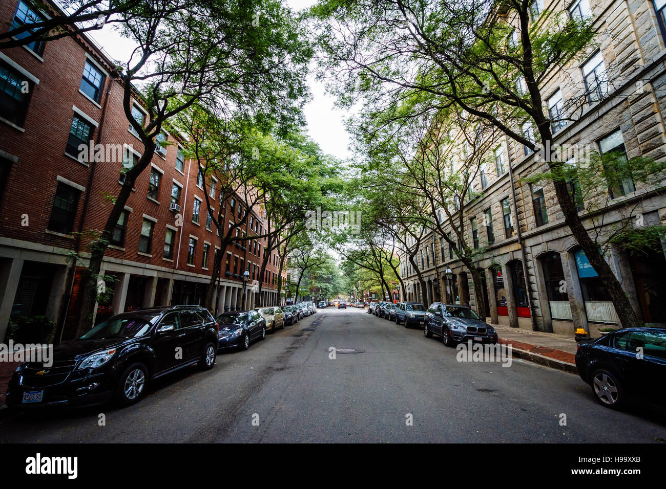 Tree lined street at night hi-res stock photography and images - Alamy
