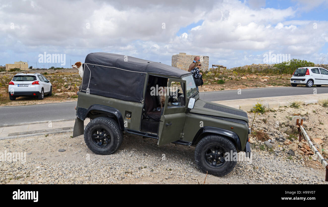 Dogs in a Land Rover Stock Photo - Alamy