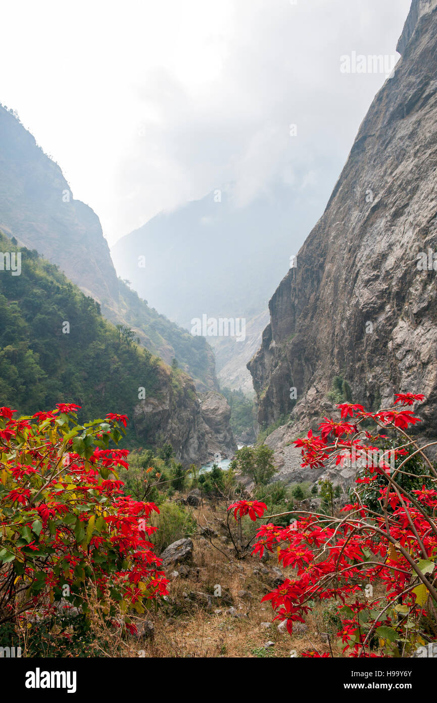 Dharapani nepal hi-res stock photography and images - Alamy