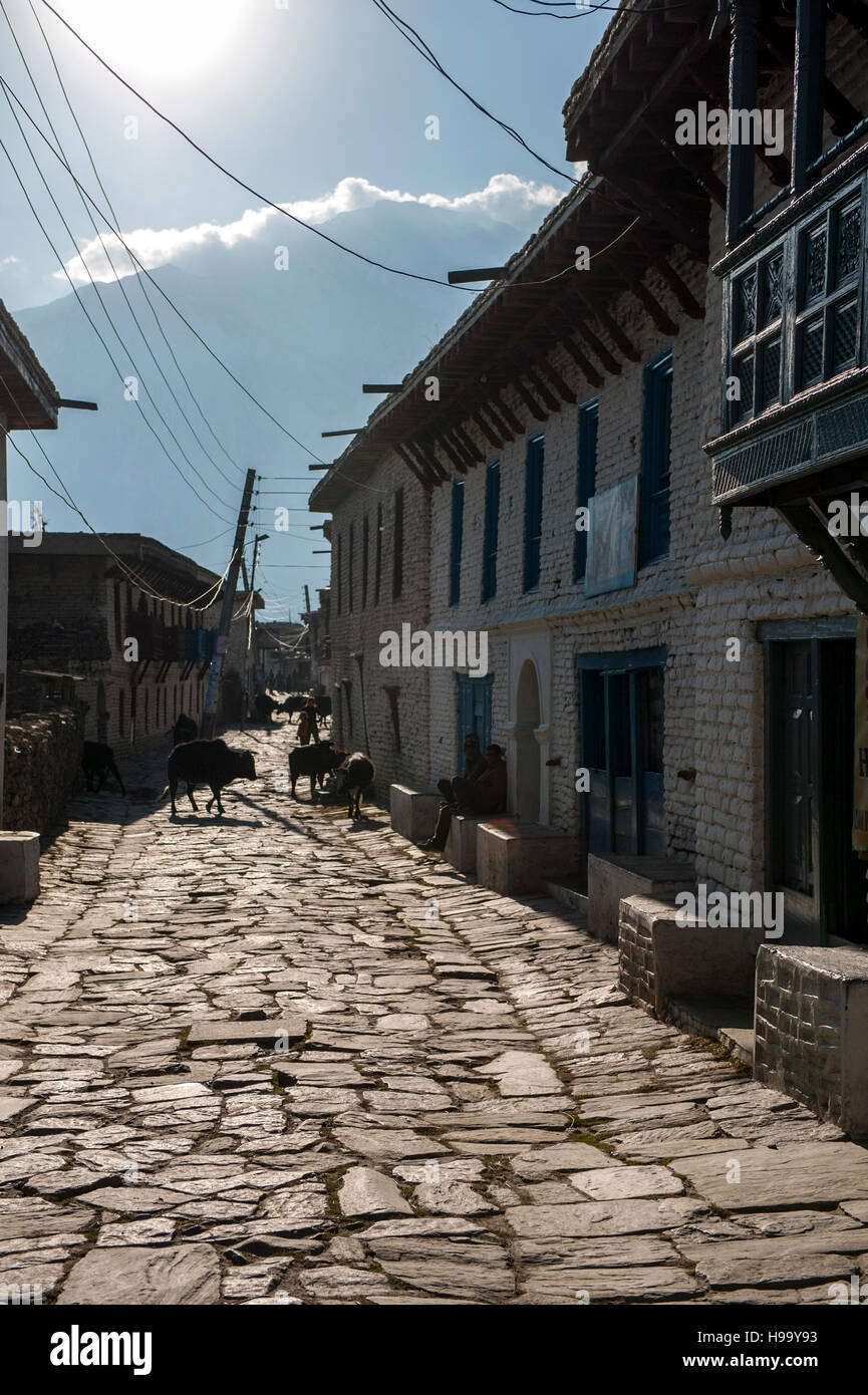 Tukuche village nepal hi-res stock photography and images - Alamy