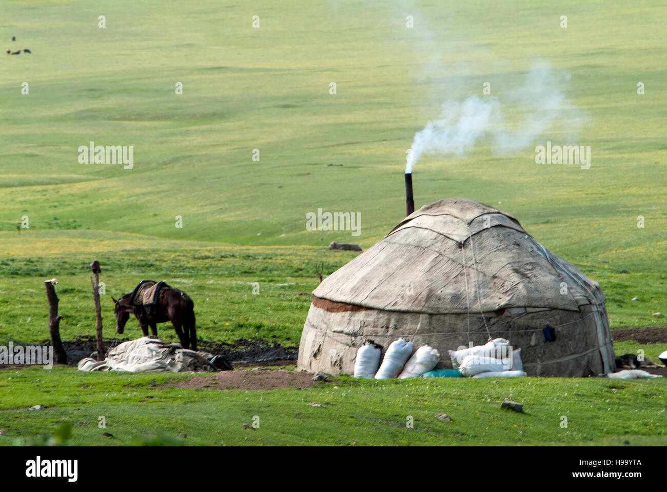 A shepherd camp in the jailoo- summer pastures- in central Kyrgyzstan ...