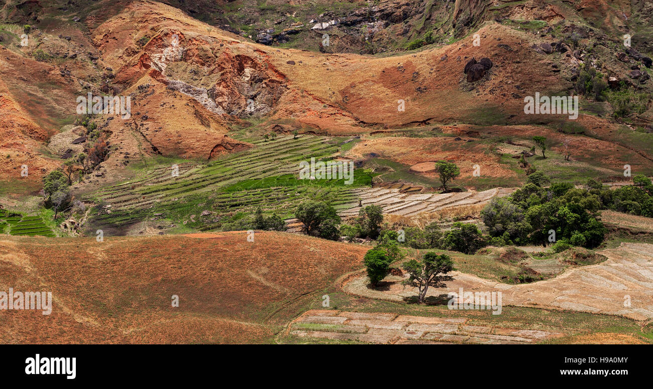 Rice terrace terraced madagascar hi-res stock photography and images ...