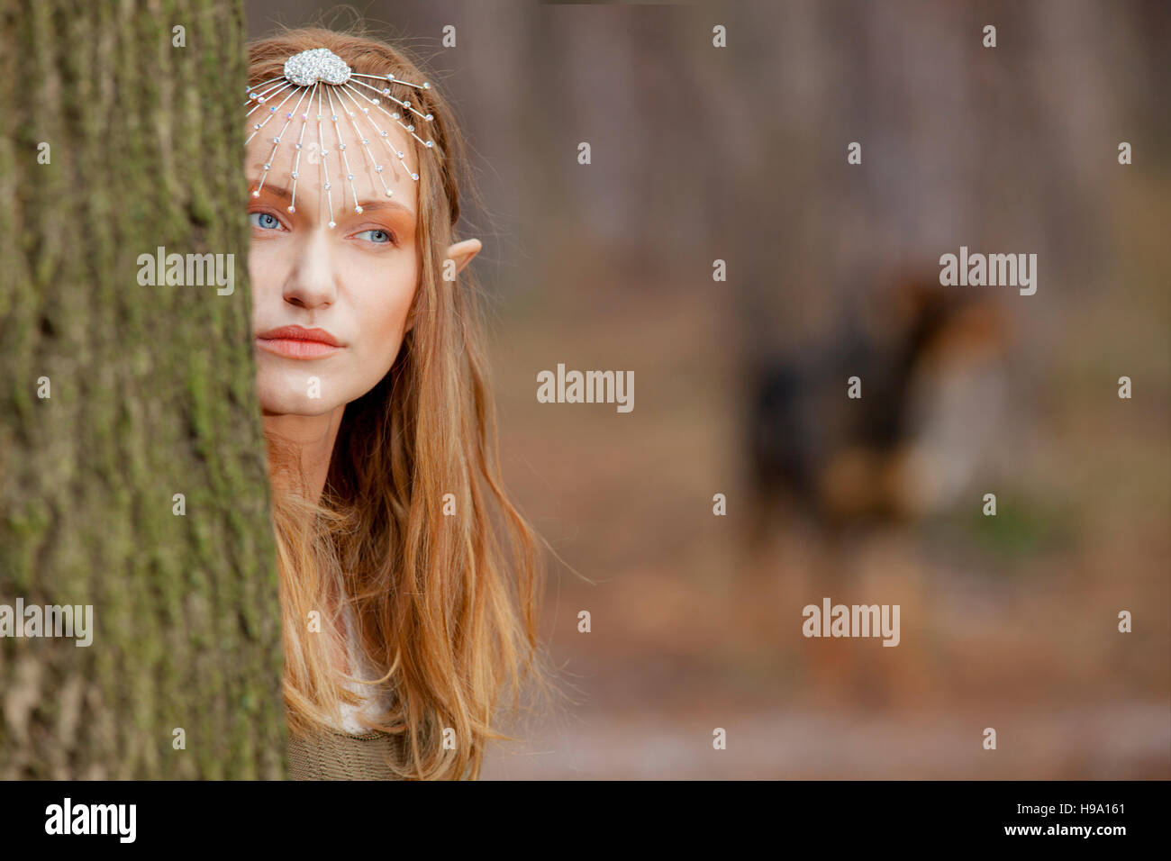 A portrait of a beautiful woman with elf ears and diadem in the forest ...