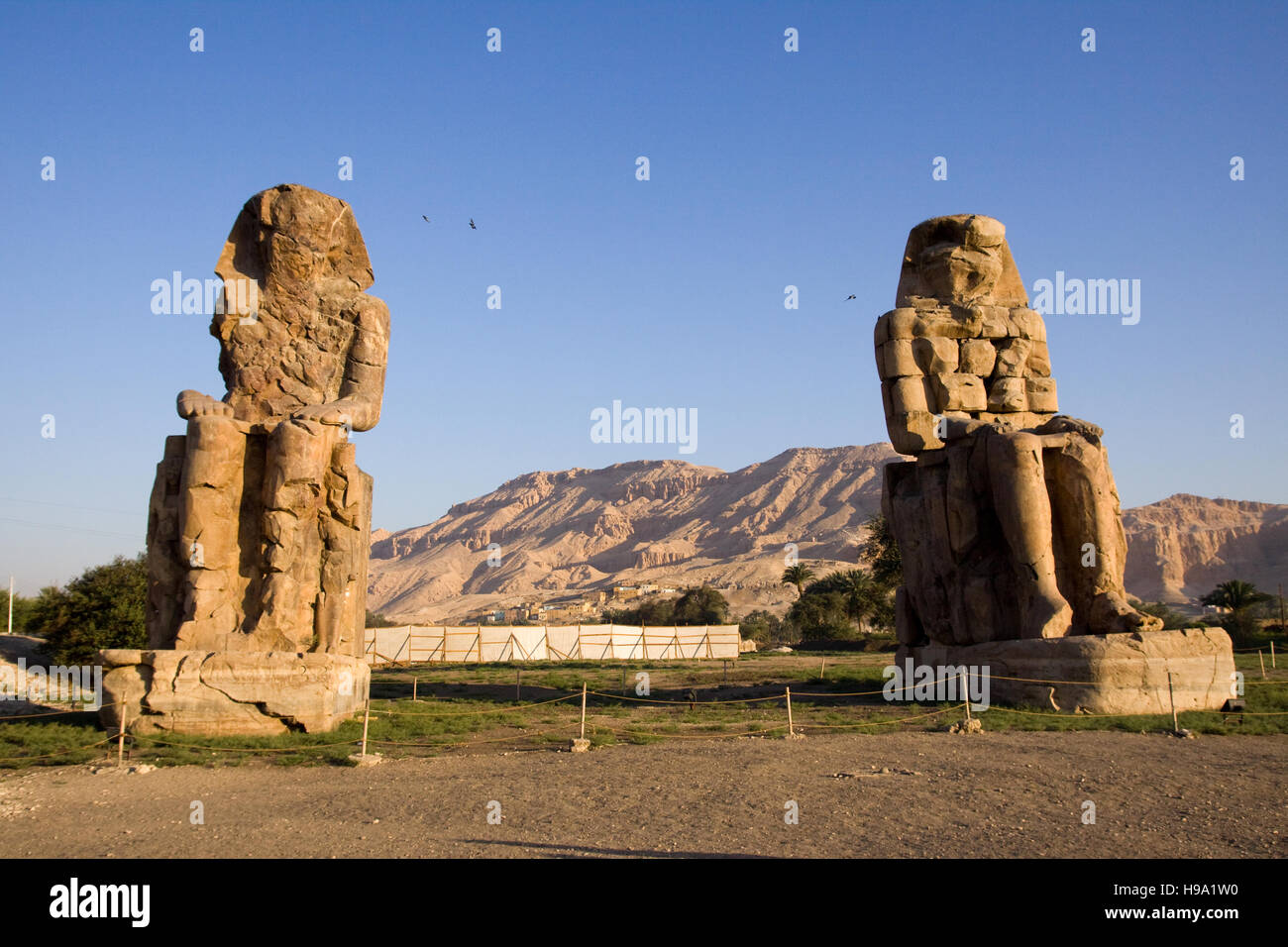 Memmon egypt hi-res stock photography and images - Alamy