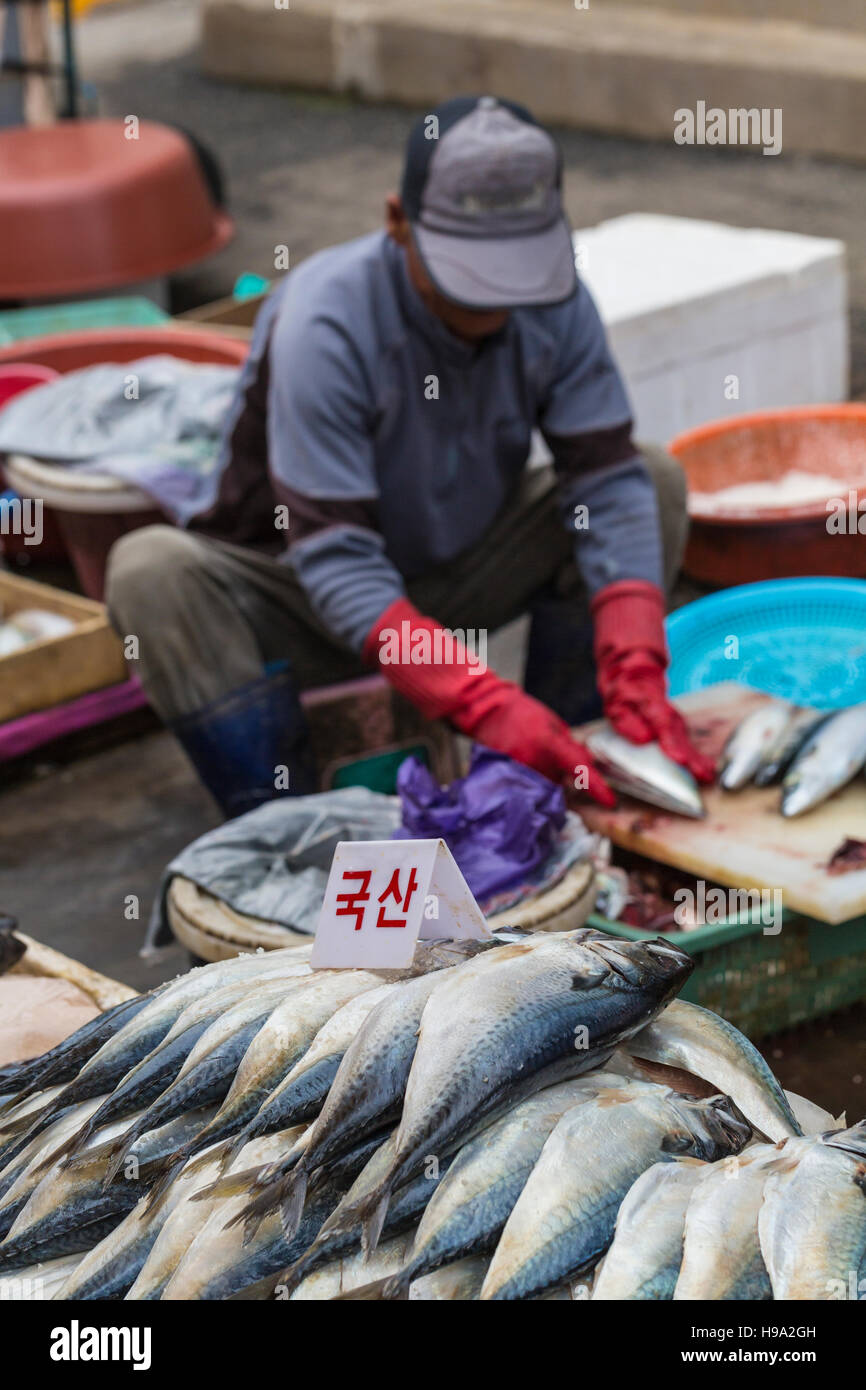BUSAN - OCTOBER 27, 2016: Fresh fish and seafood at Jagalchi Fish ...
