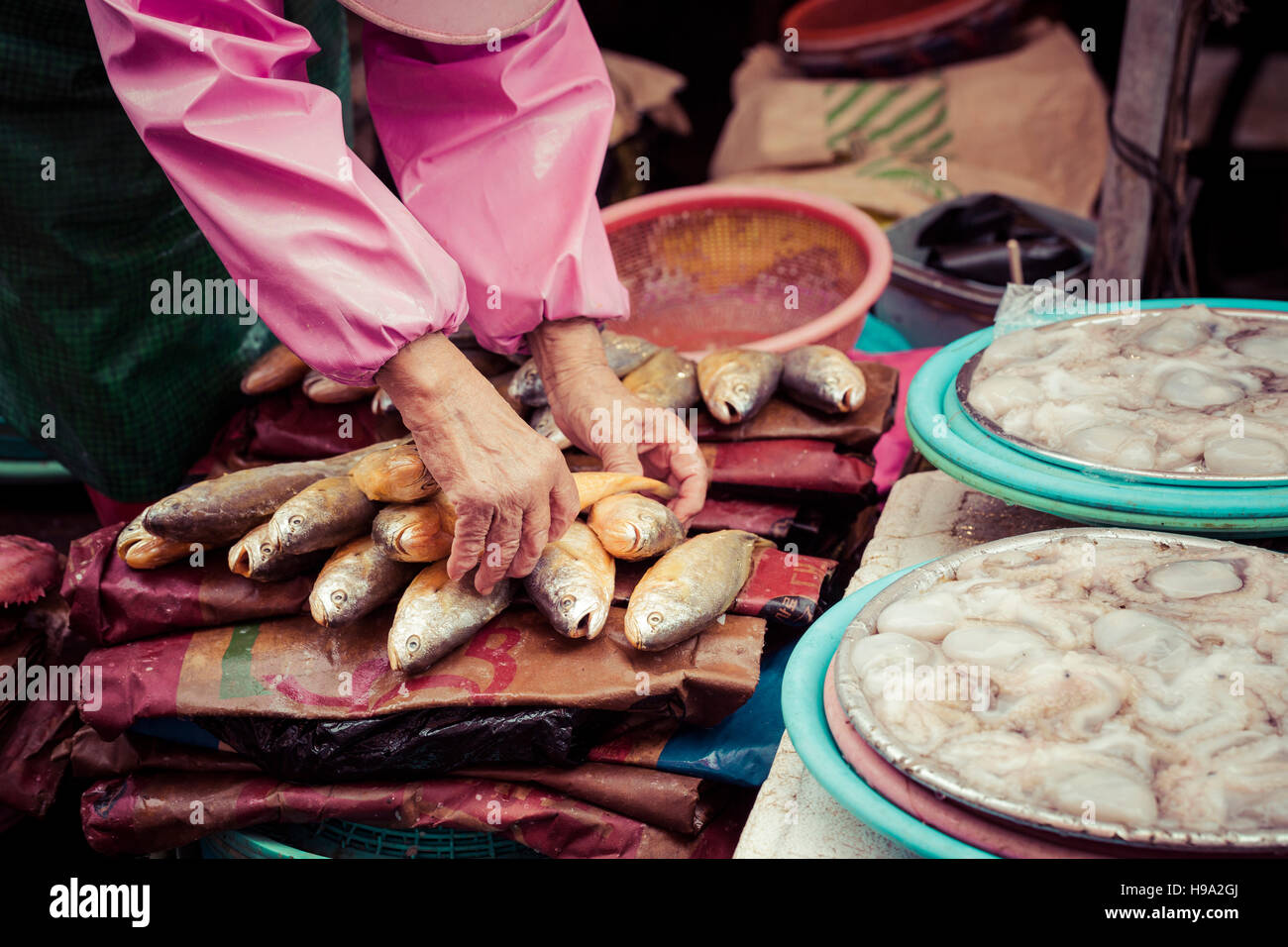 BUSAN - OCTOBER 27, 2016: Fresh fish and seafood at Jagalchi Fish ...