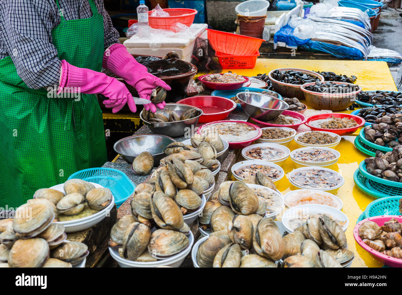 BUSAN - OCTOBER 27, 2016: Fresh fish and seafood at Jagalchi Fish ...