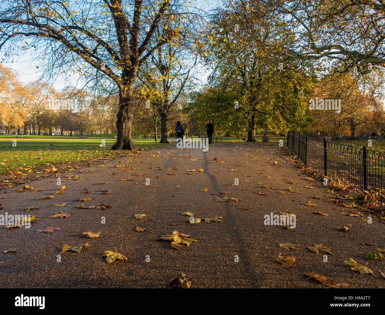 Central park autumnal path hi-res stock photography and images - Alamy