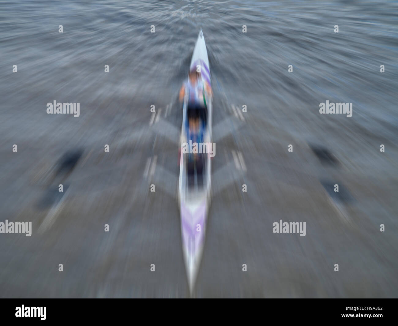 Rowers on the River Thames Stock Photo - Alamy Rowers on the River Thames Stock Photo - Alamy