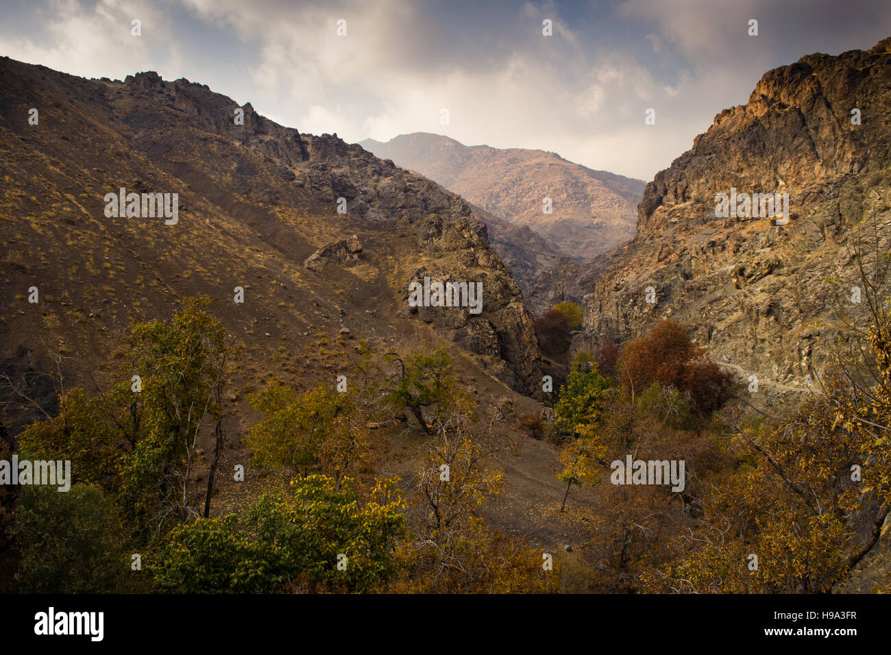Tehran landscape hi-res stock photography and images - Alamy