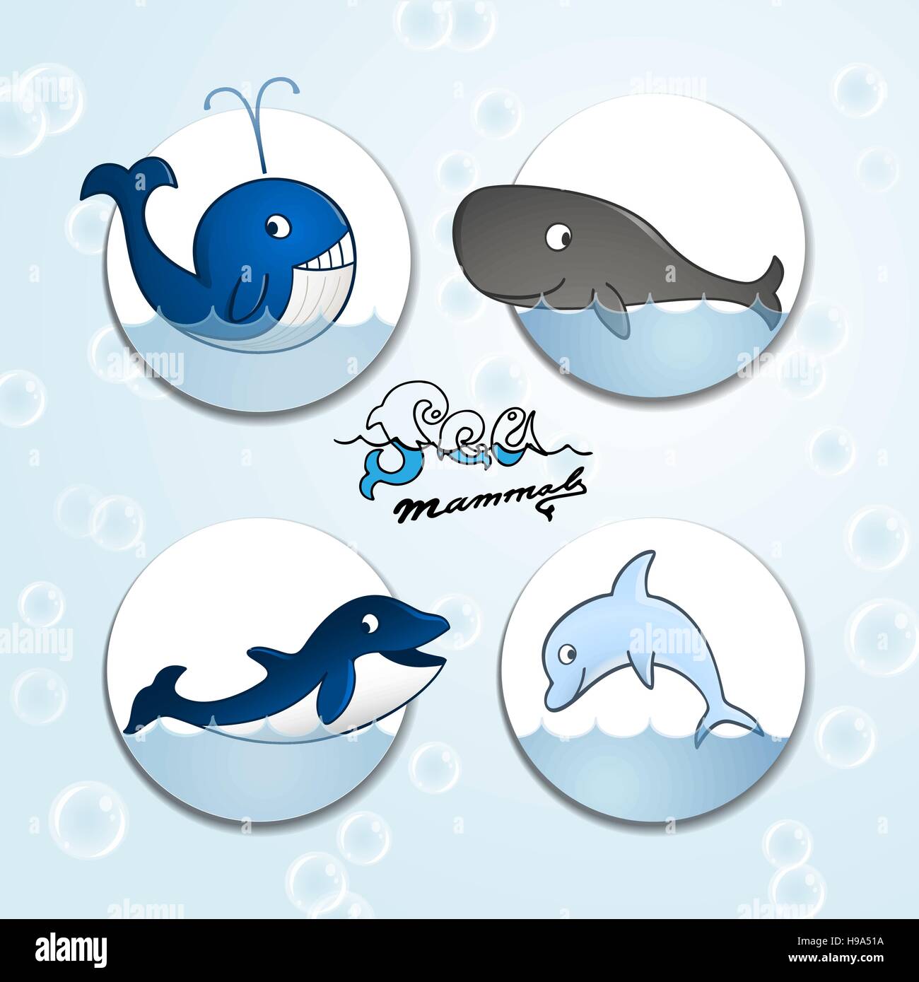 A set of cartoon sea mammals including a whale, a dolphin, a killer ...