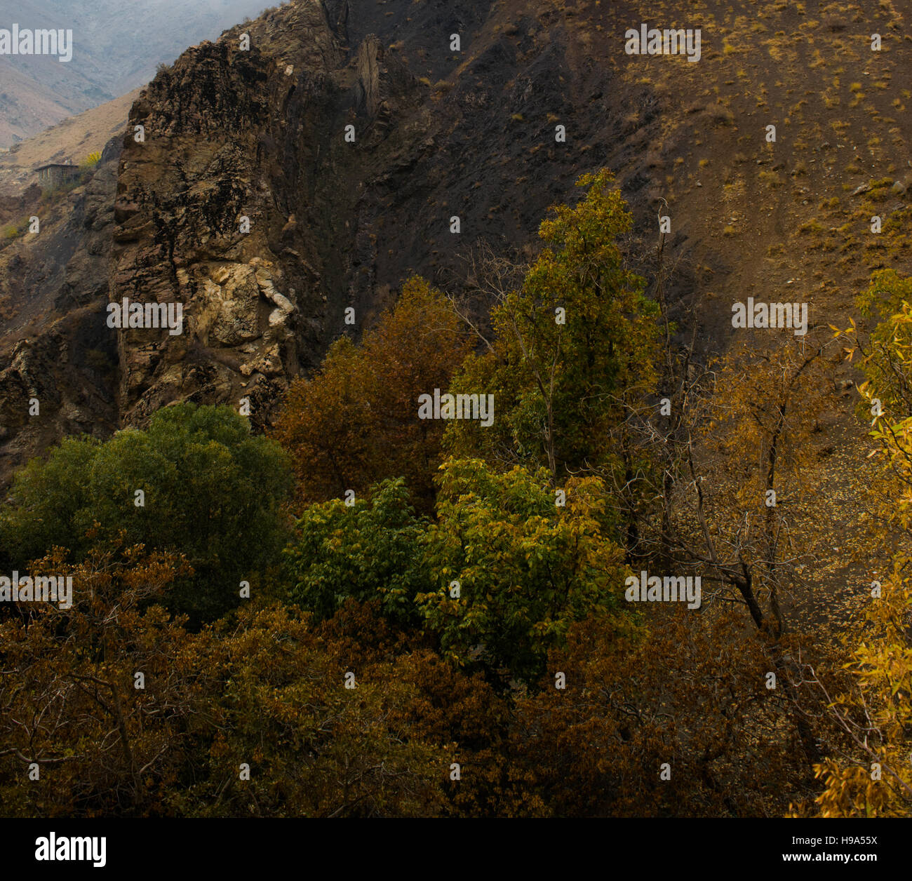 beautiful nature of darake Stock Photo - Alamy