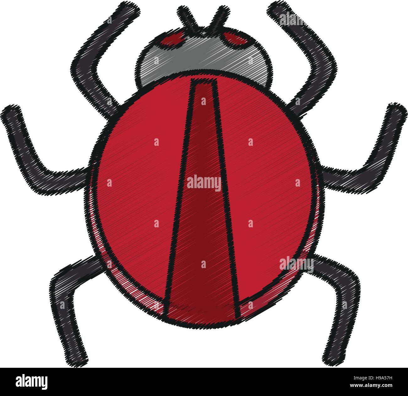 Isolated bug design Stock Vector Image & Art - Alamy