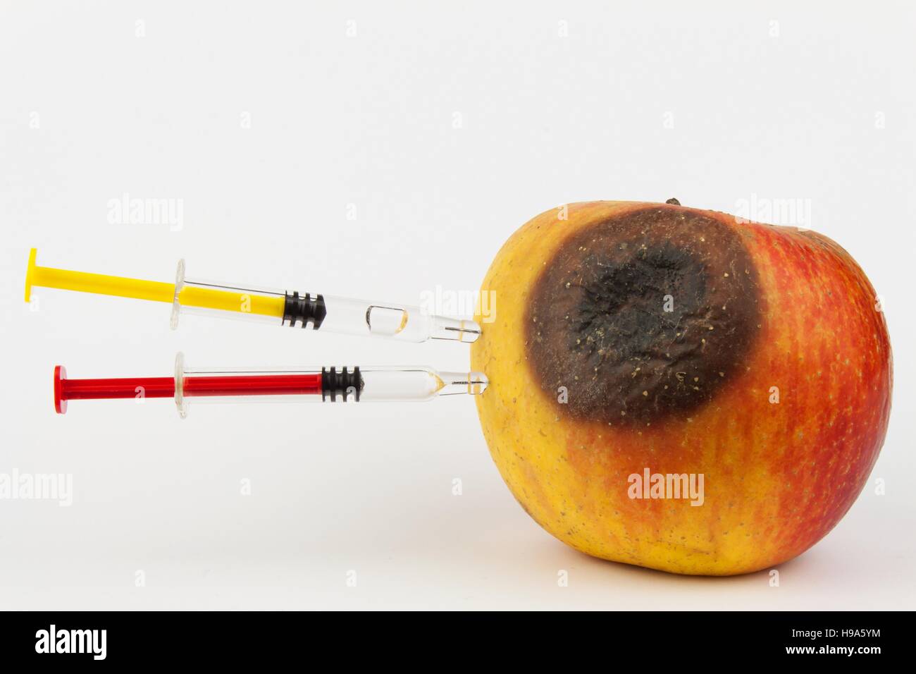 Moldy apple injection red apple hi-res stock photography and images - Alamy