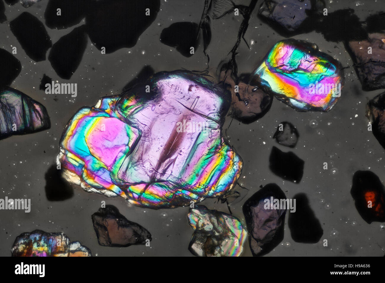 Silicon microscope hi-res stock photography and images - Alamy